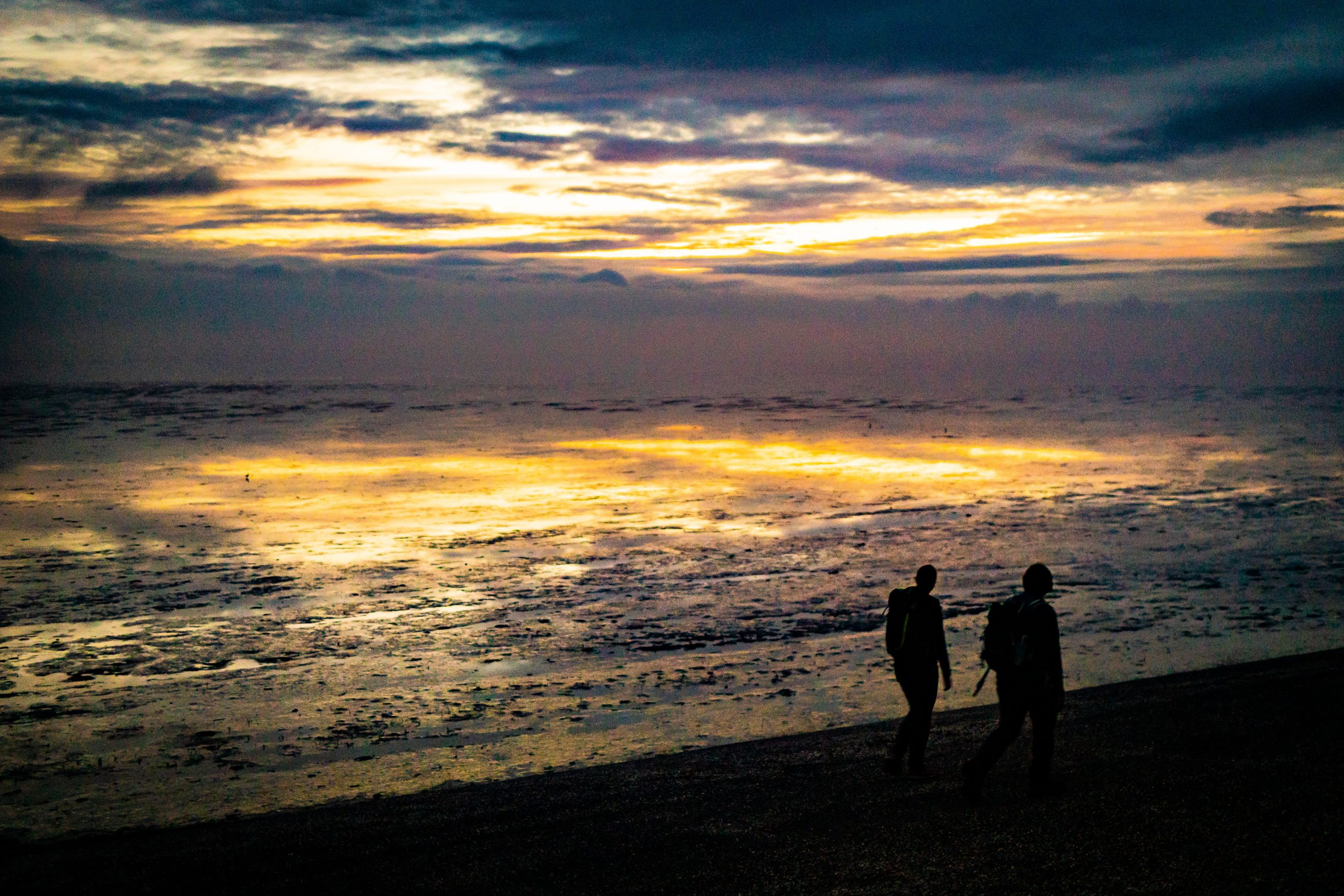 Eerste live editie Nacht van het Wad en Ontwakend Landschap - Nacht van ... Eerste live editie Nacht van het Wad en Ontwakend Landschap - Nacht van ...
